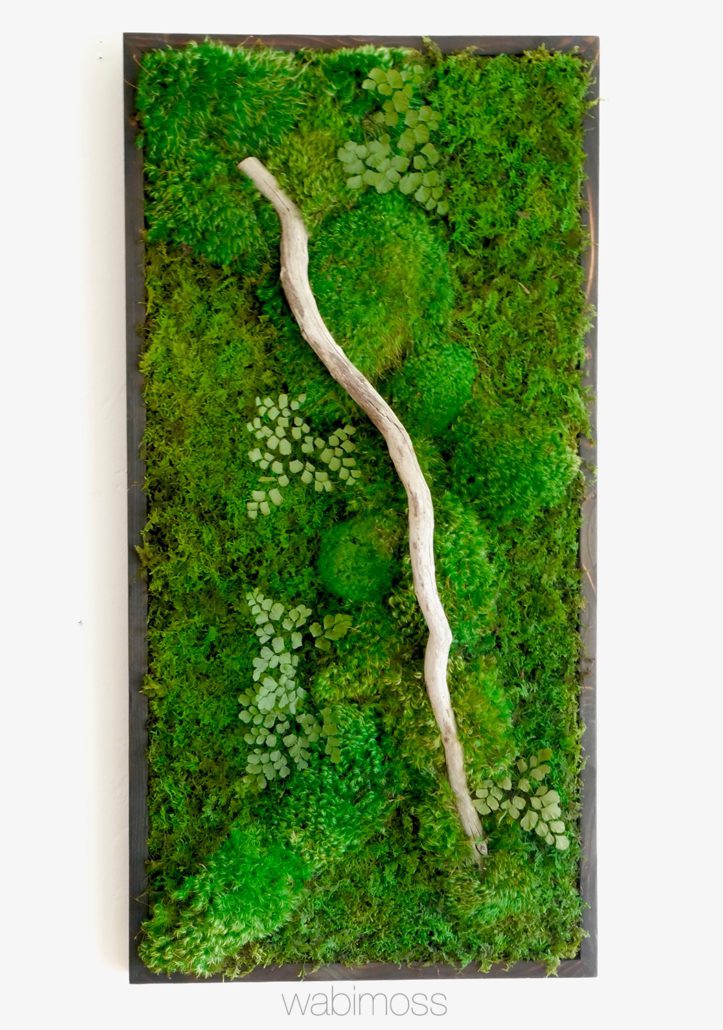 58x58" Real Preserved Moss Wall Art Green Wall Collage No Sticks. No ...